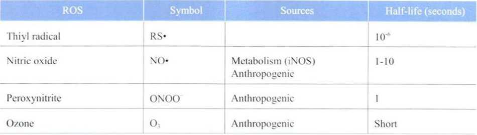 OXY DẠNG HOẠT ĐỘNG (ROS) VÀ SỰ LÃO HÓA